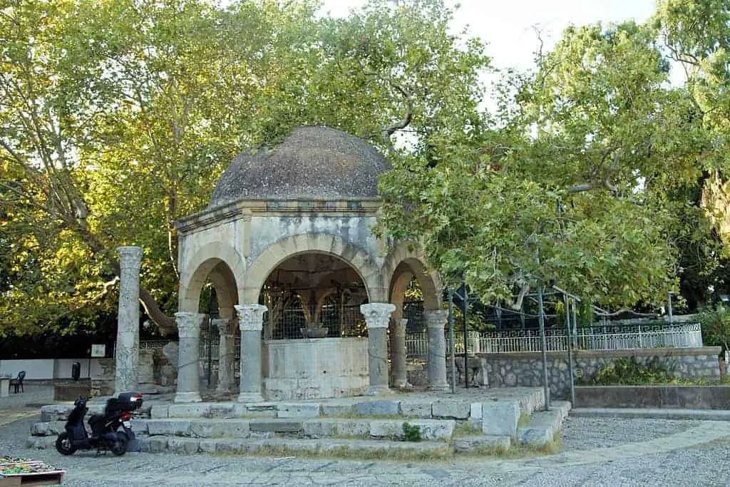 Hippocrates Tree Kos | A complete tourist guide updated for 2021