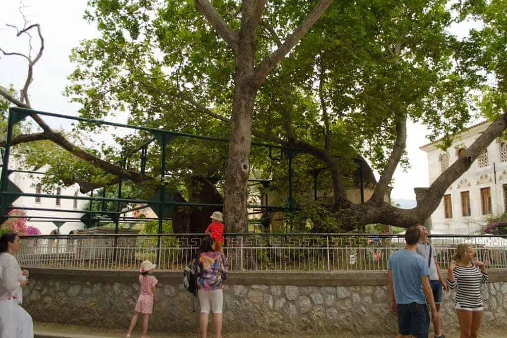 Kos | COMPLETE TOURIST GUIDE to the Greek, dodecanese island of Kos