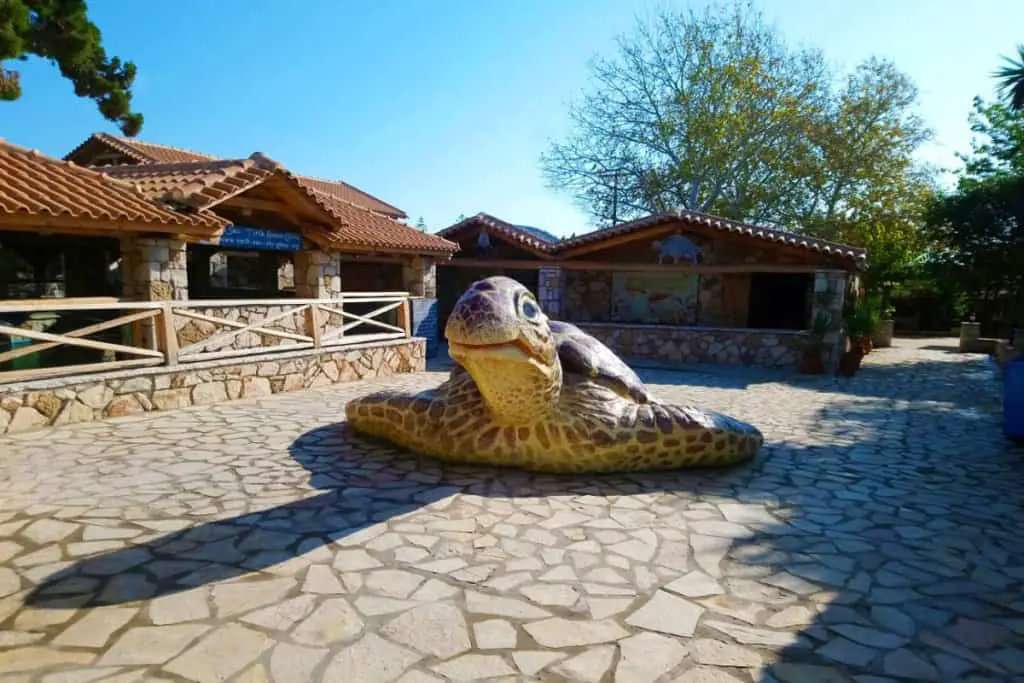 Turtle Rescue Centre Zakynthos guide for 2025